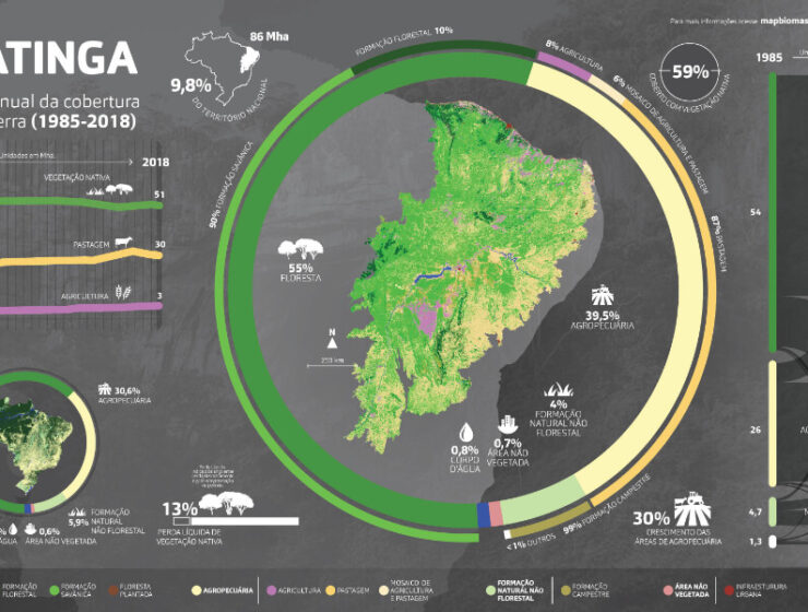 MapBiomas – Eco Nordeste