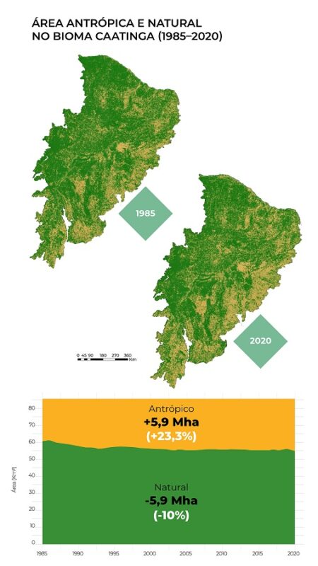 MapBiomas aponta fatores que aumentam o risco de desertificação da ...